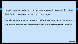 Pathophysiology of Urinary tract infection | PDF