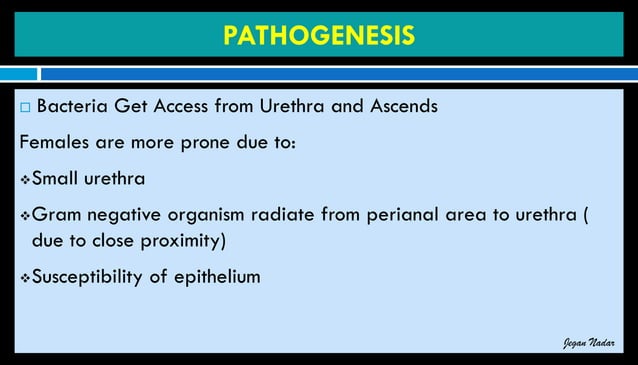 Pathophysiology of Urinary tract infection | PDF | Infectious Diseases ...