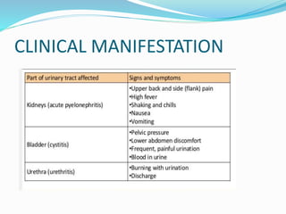 Urinary tract infection | PPTX