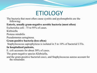 Urinary tract infection | PPTX