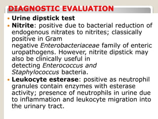 Urinary tract infection | PPTX