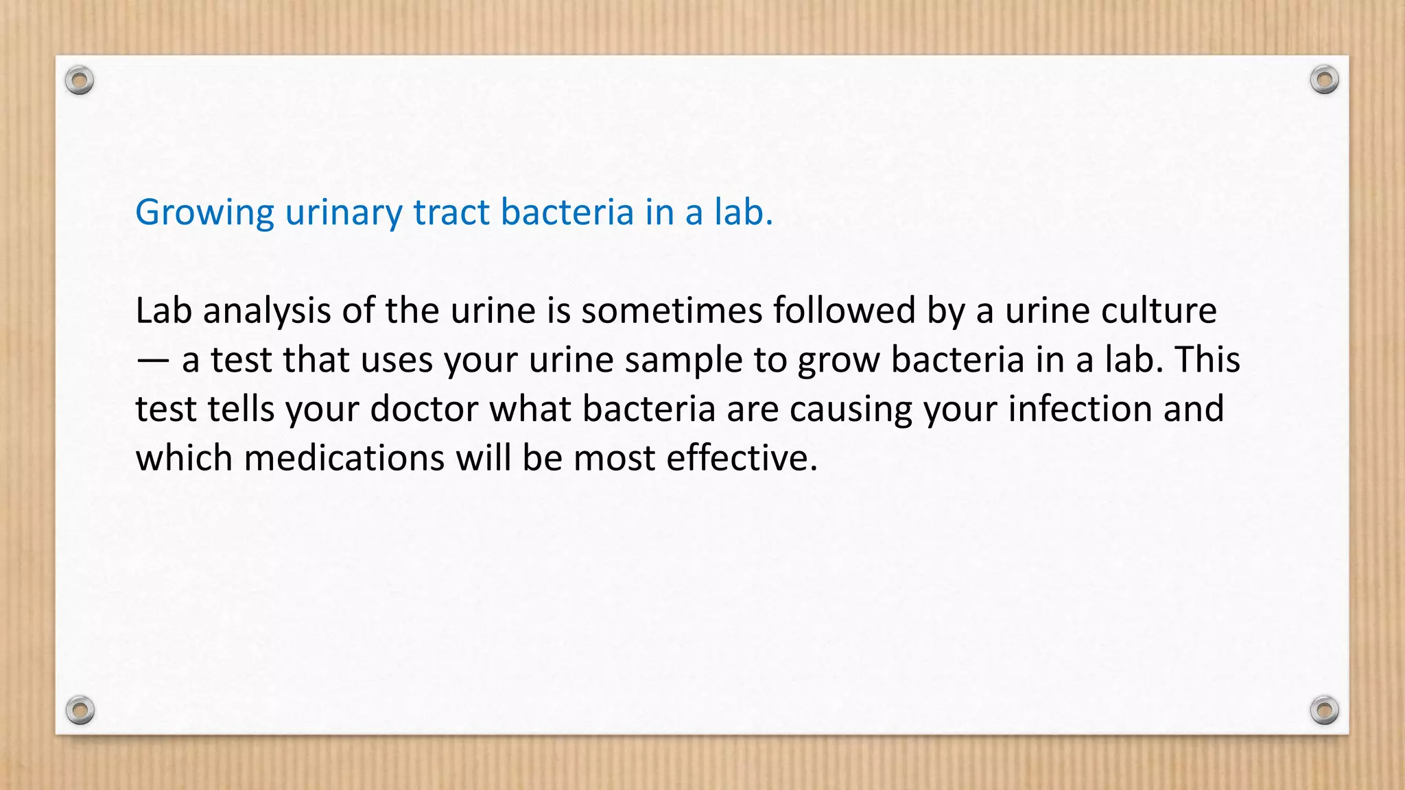 Urinary tract infection- a detailed medical study | PPTX