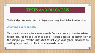 Urinary tract infection- a detailed medical study | PPTX
