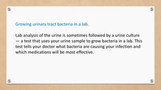 Urinary tract infection- a detailed medical study | PPTX