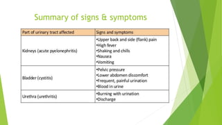 Urinary tract infection | PPT
