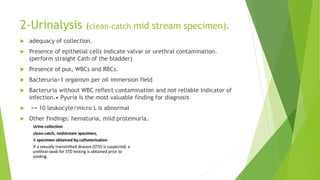 Urinary tract infection | PPT