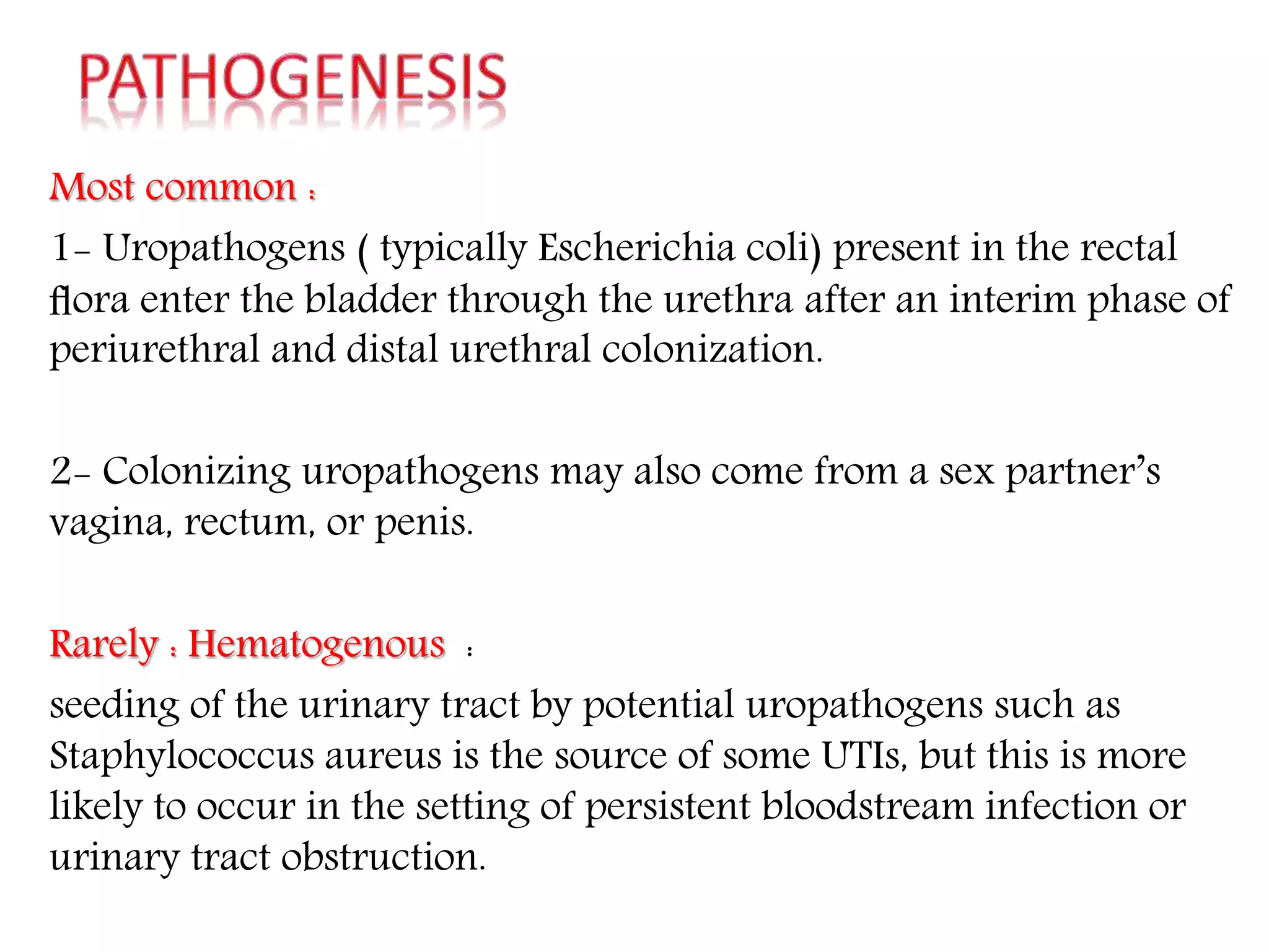 update in Urinary tract infection | PPT