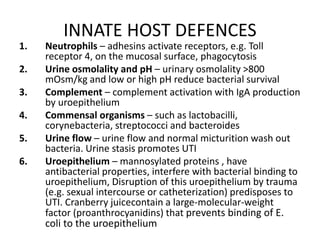 Urinary tract infection | PPTX