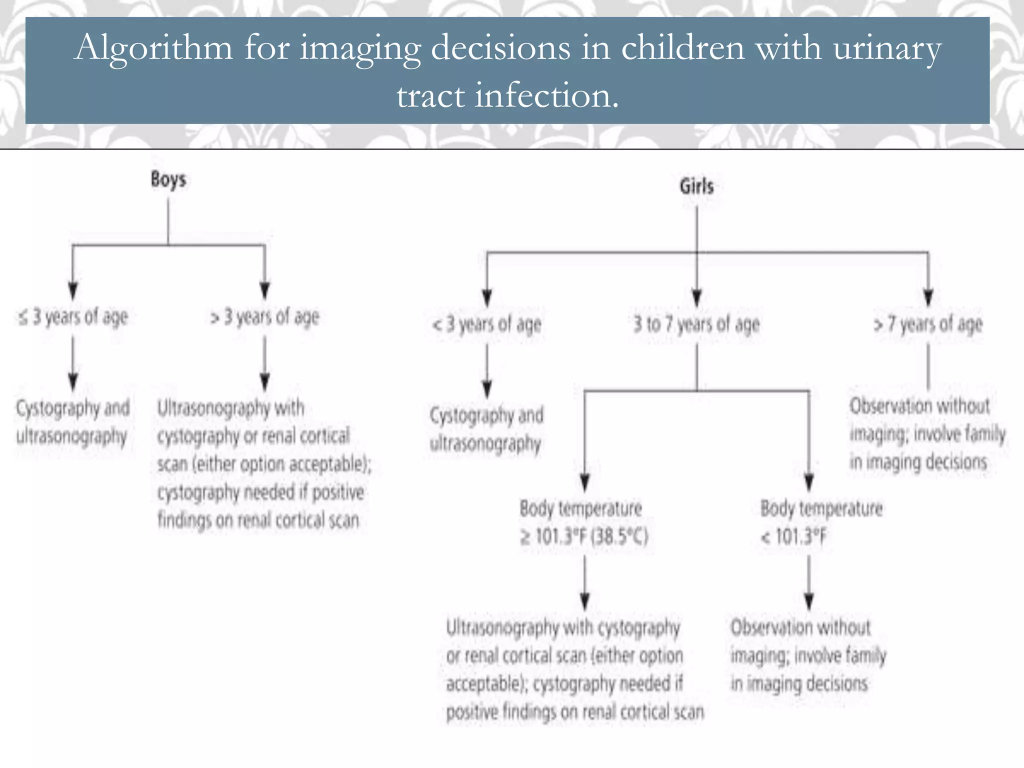 Urinary Tract Infection in Children | PPTX