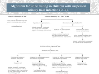 Urinary Tract Infection in Children | PPTX