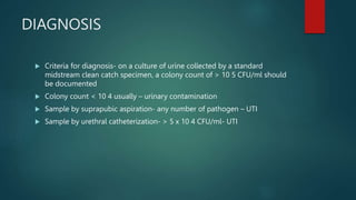 URINARY TRACT INFECTION.pptx