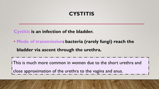 Urinary tract infection.pdf