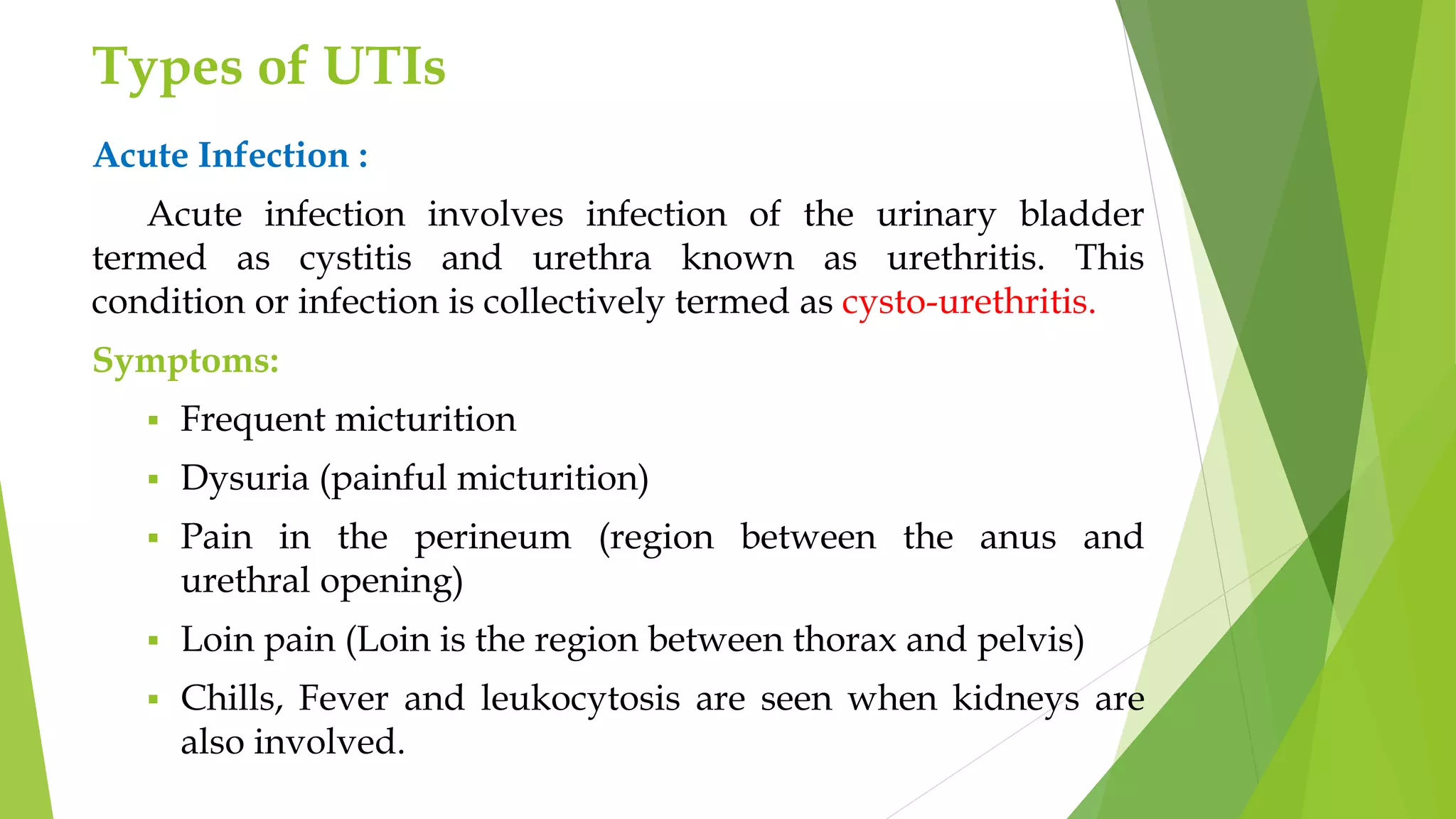 Urinary Tract Infection.pptx