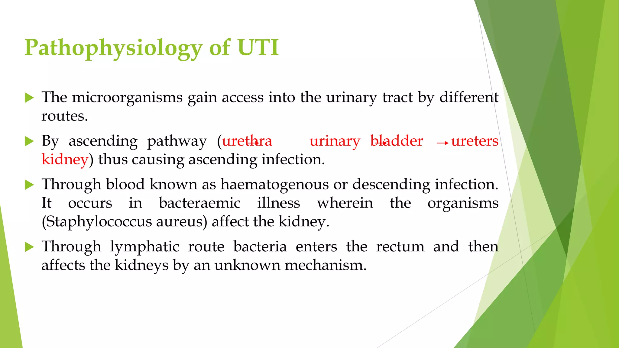 Urinary Tract Infection.pptx