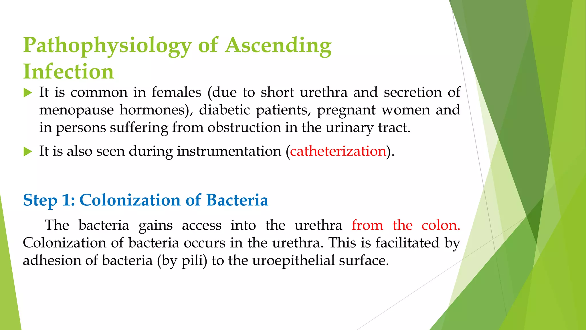 Urinary Tract Infection.pptx
