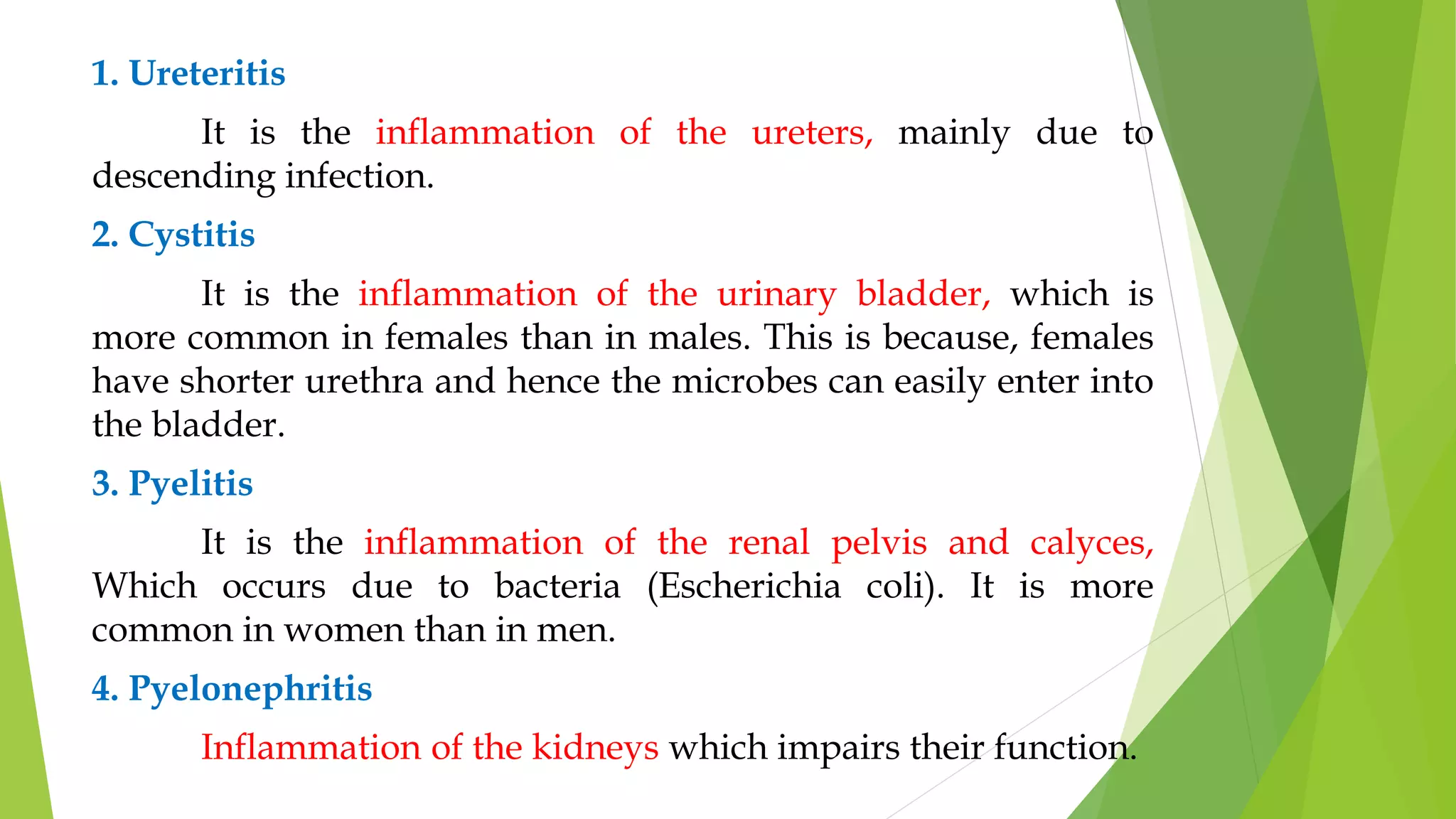 Urinary Tract Infection.pptx