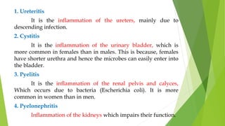 Urinary Tract Infection.pptx