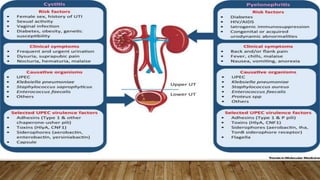URINARY TRACT INFECTION.pptx