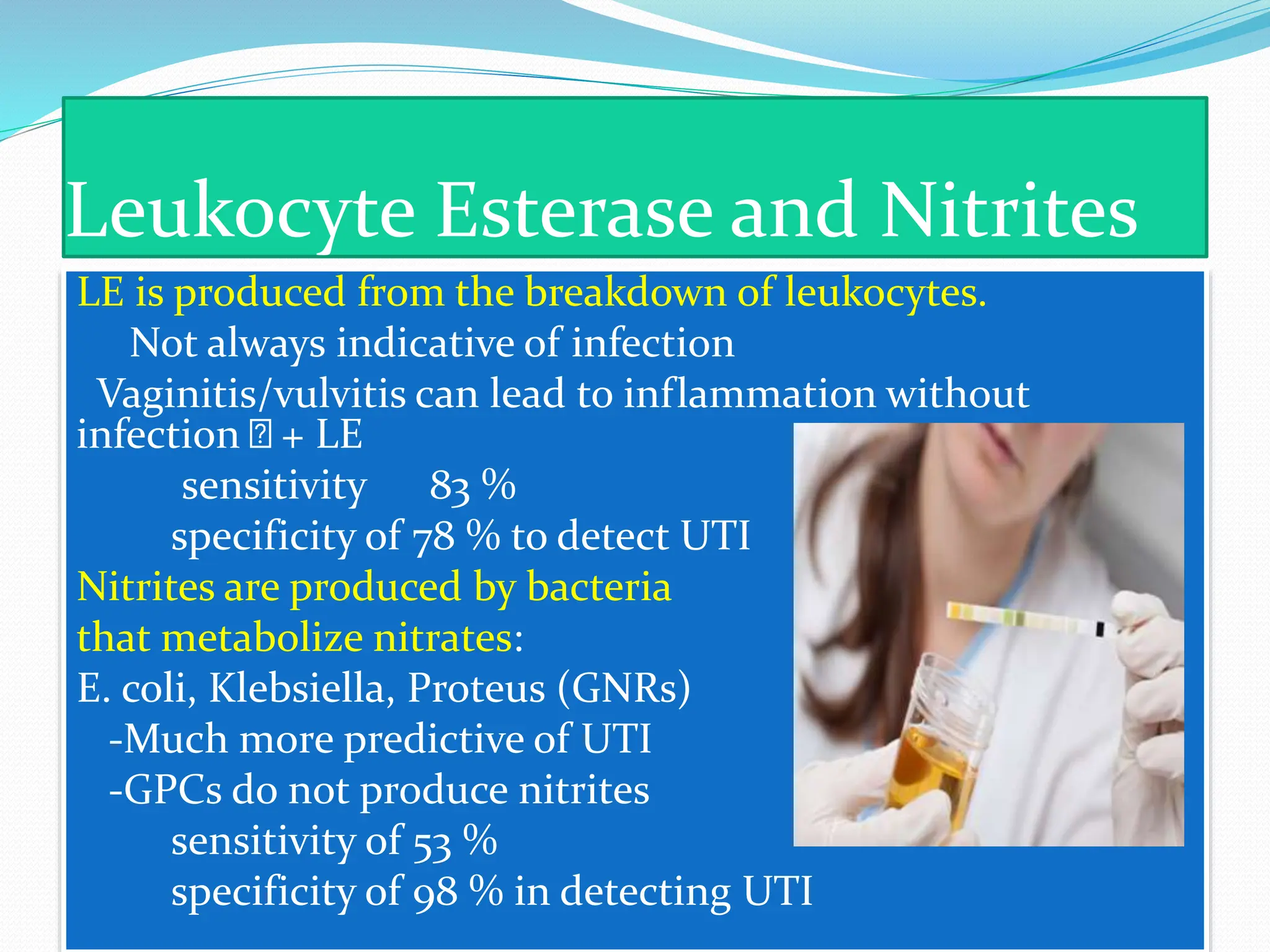 Urinary Tract I nfection.pptx