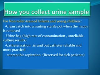 Urinary Tract I nfection.pptx