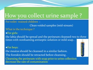 Urinary Tract I nfection.pptx