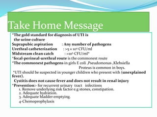 Urinary Tract I nfection.pptx