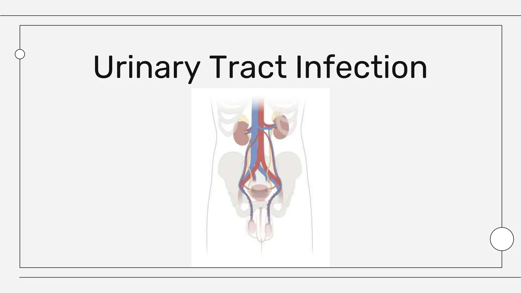 Urinary Tract Infection.pptx , cystitis , lower and upper urinary tract ...
