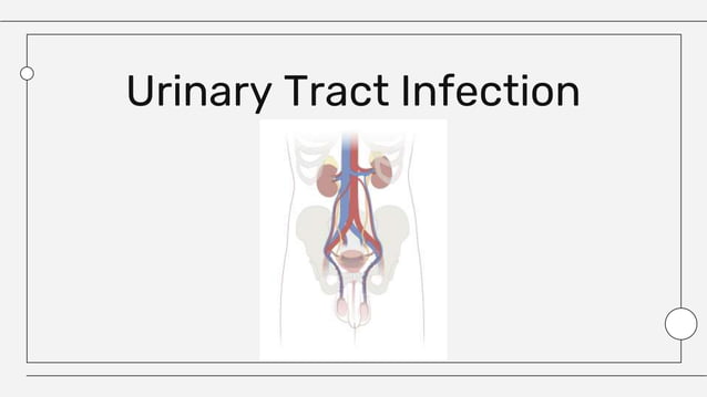Urinary Tract Infection.pptx , cystitis , lower and upper urinary tract ...