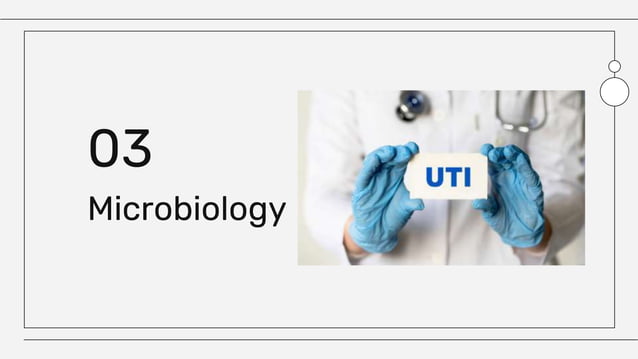 Urinary Tract Infection.pptx , cystitis , lower and upper urinary tract ...