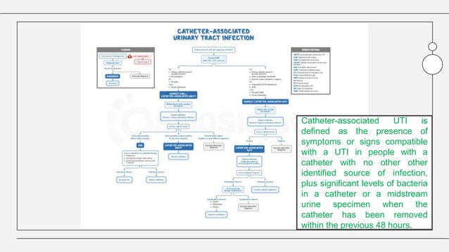 Urinary Tract Infection.pptx , cystitis , lower and upper urinary tract ...