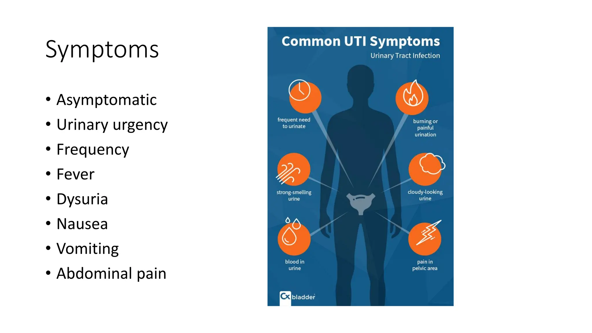 Urinary Tract Infection- for medical personnel | PDF