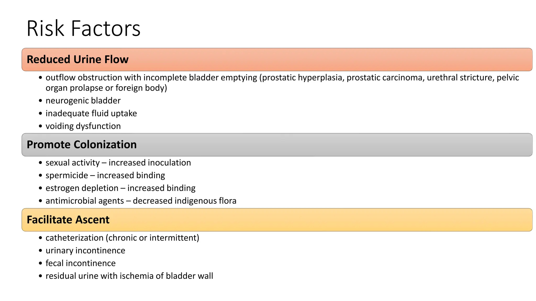 Urinary Tract Infection- for medical personnel | PDF