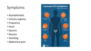 Urinary Tract Infection- for medical personnel | PDF