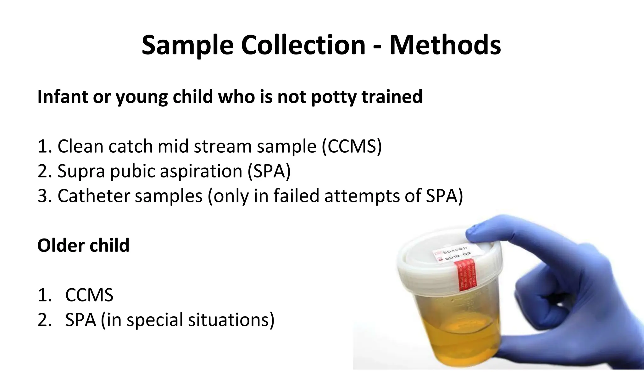 the child urinary tract infection تعديل.pptx | Digestive Disorders ...