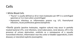 Urinary tract infection etiology pathagenesis management | PPT