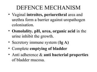 Drugs used in Urinary Tract Infection.ppt