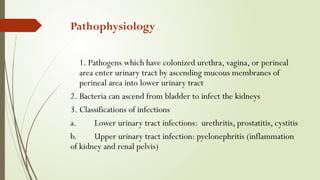 Urinary tract infection explanation pptx | PPT