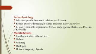 Urinary tract infection explanation pptx | PPT