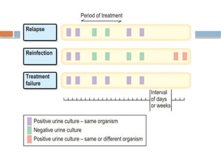 URINARY TRACT INFECTION.pptx By Dr. M.A. Sobuj Hayat | PPTX