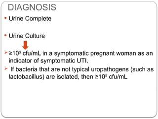 URINARY TRACT INFECTION.pptx-causes,complications | PPTX