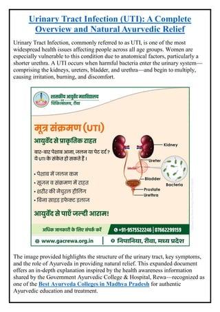 Urinary Tract Infection (UTI): A Complete Overview and Natural ...