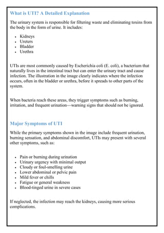 Urinary Tract Infection (UTI): A Complete Overview and Natural ...