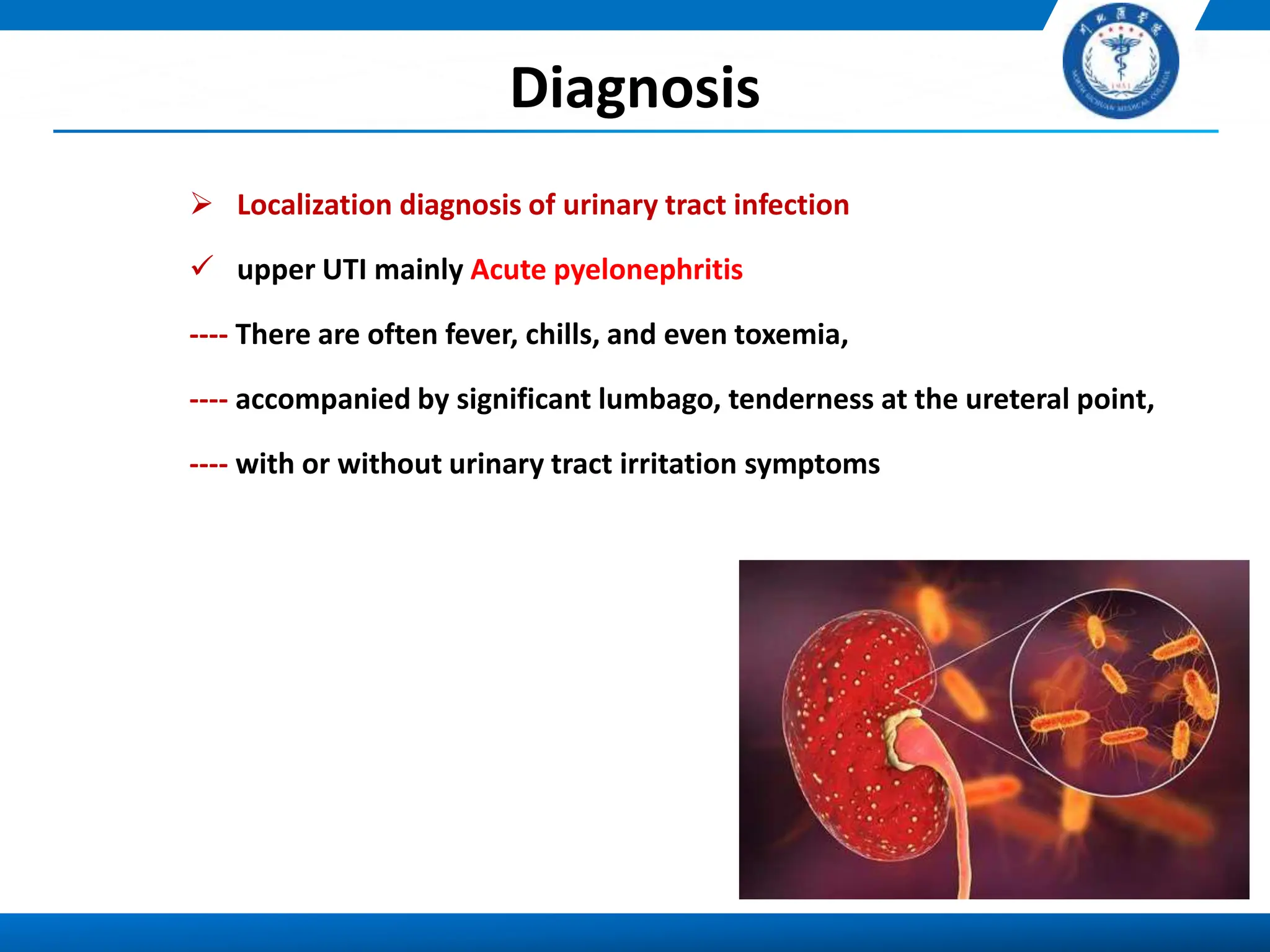 Urinary track infection disease of urina | PPTX