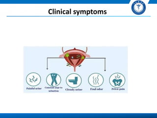 Urinary track infection disease of urina | PPTX