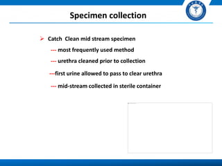 Urinary track infection disease of urina | PPTX