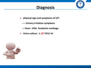 Urinary track infection disease of urina | PPTX