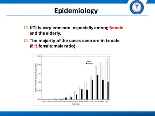 Urinary track infection disease of urina | PPTX
