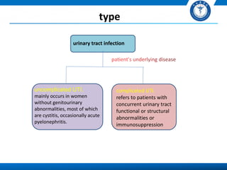 Urinary track infection disease of urina | PPTX