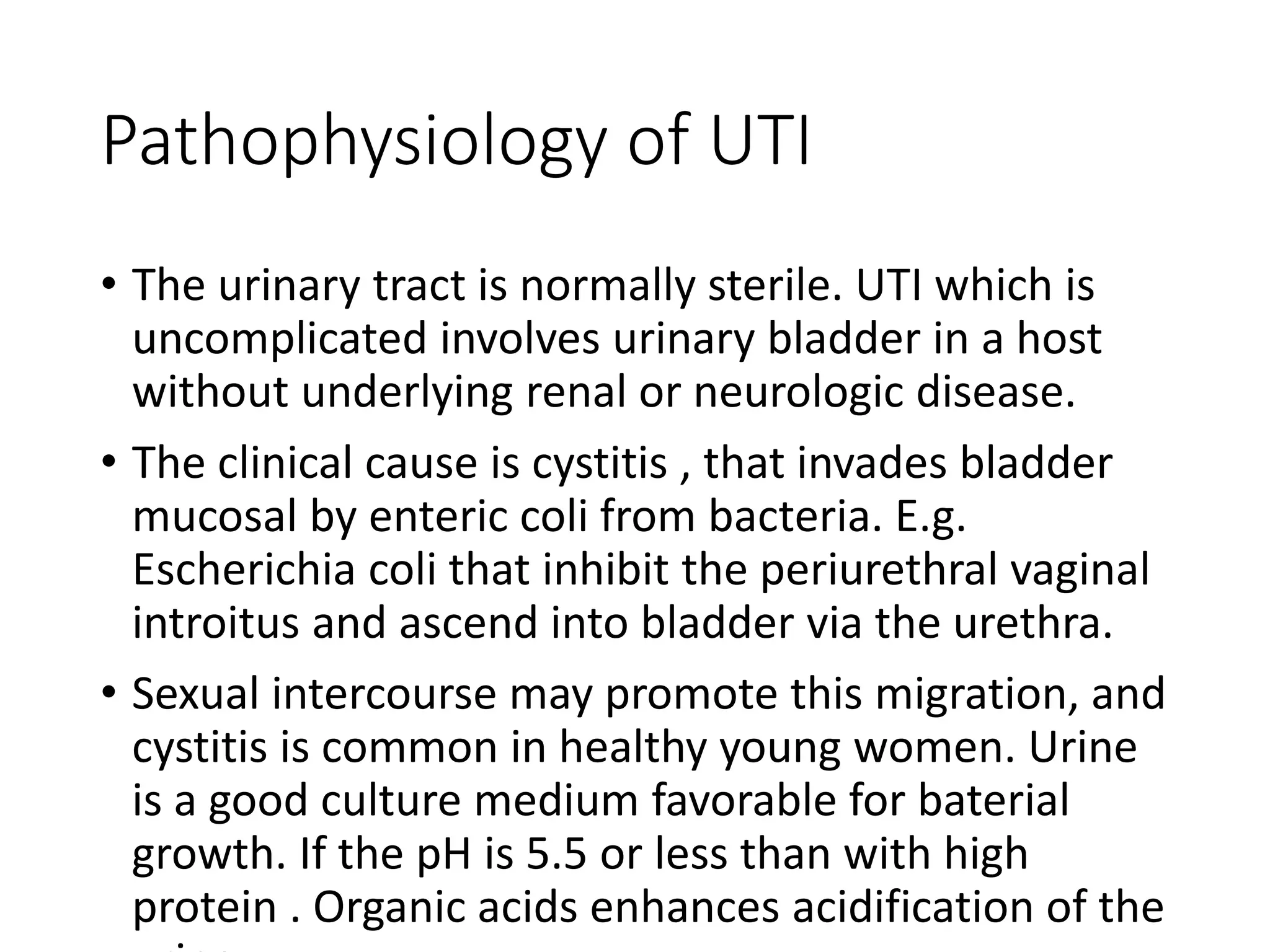 Urinary Tract Infection-WPS Office.pptx