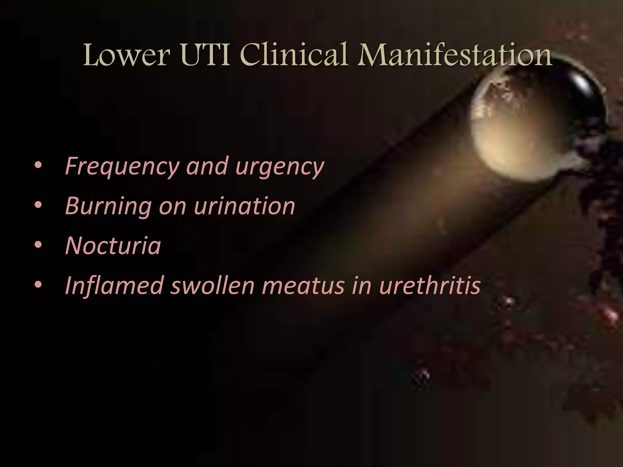 Urinary tract infection (1) | PPTX